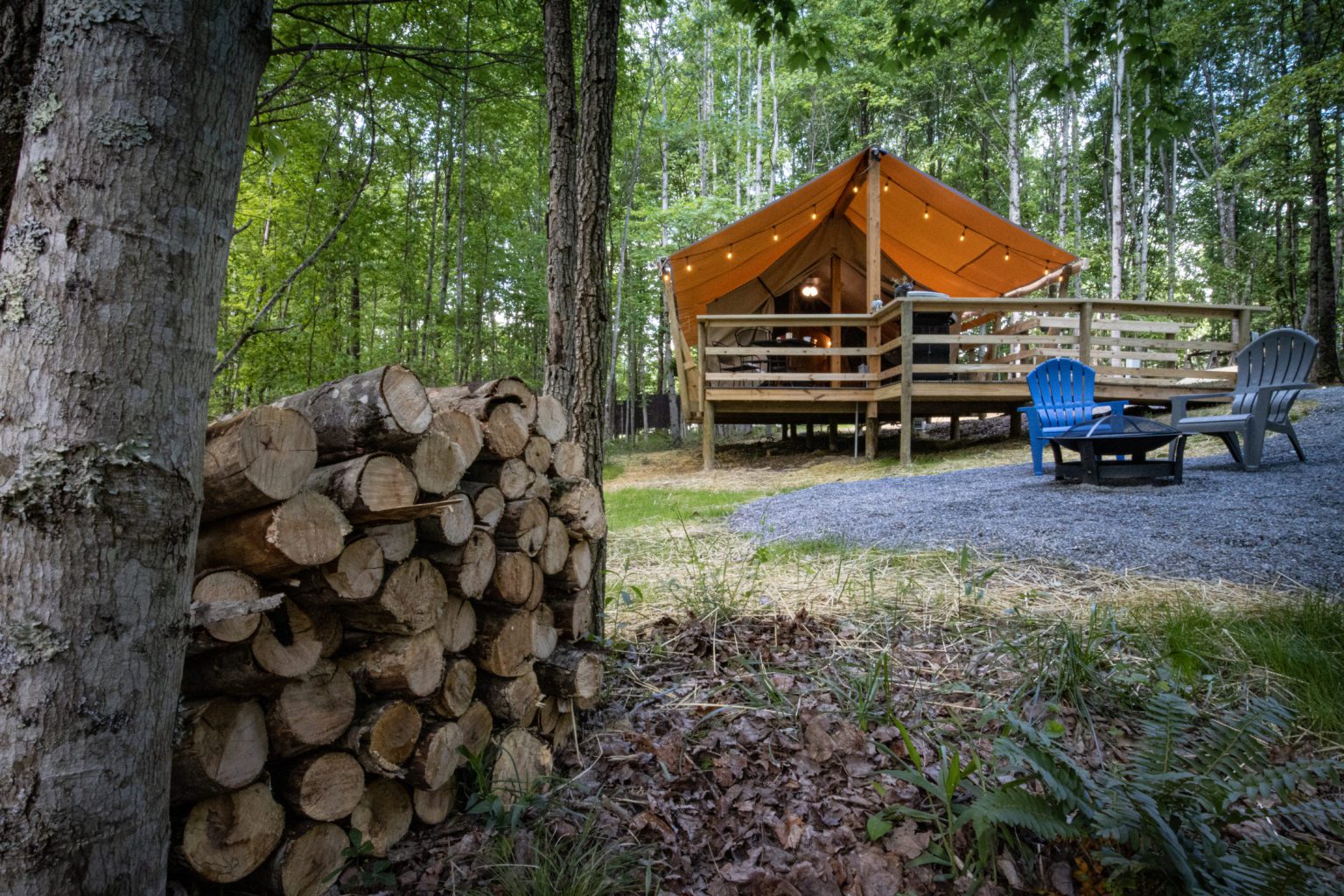 Adventure and Comfort: Safari Sun Glamping Tent at Country Road Cabins ...